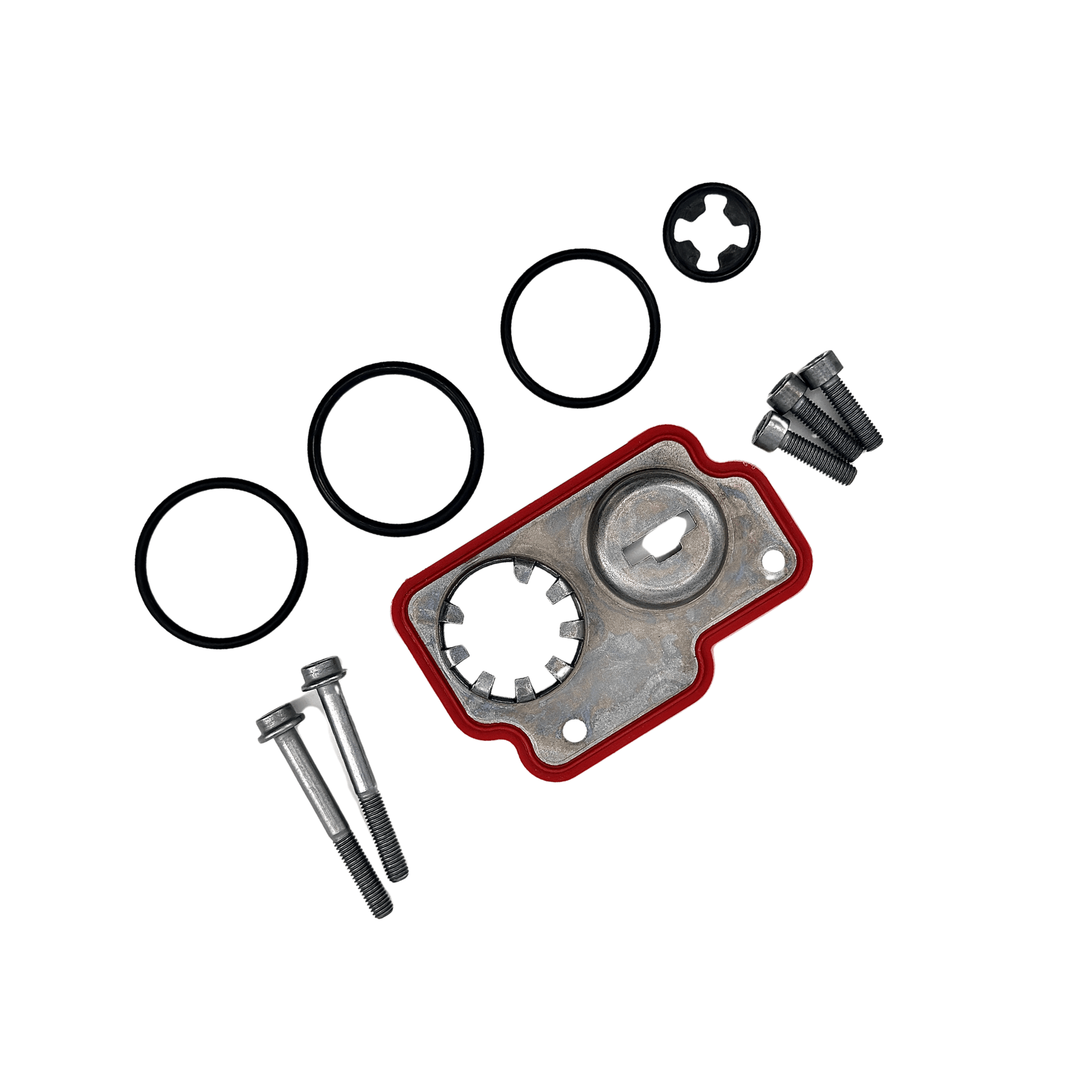 0CQ598305 Seal Repair kit & oil set for Haldex Pump 5th Gen