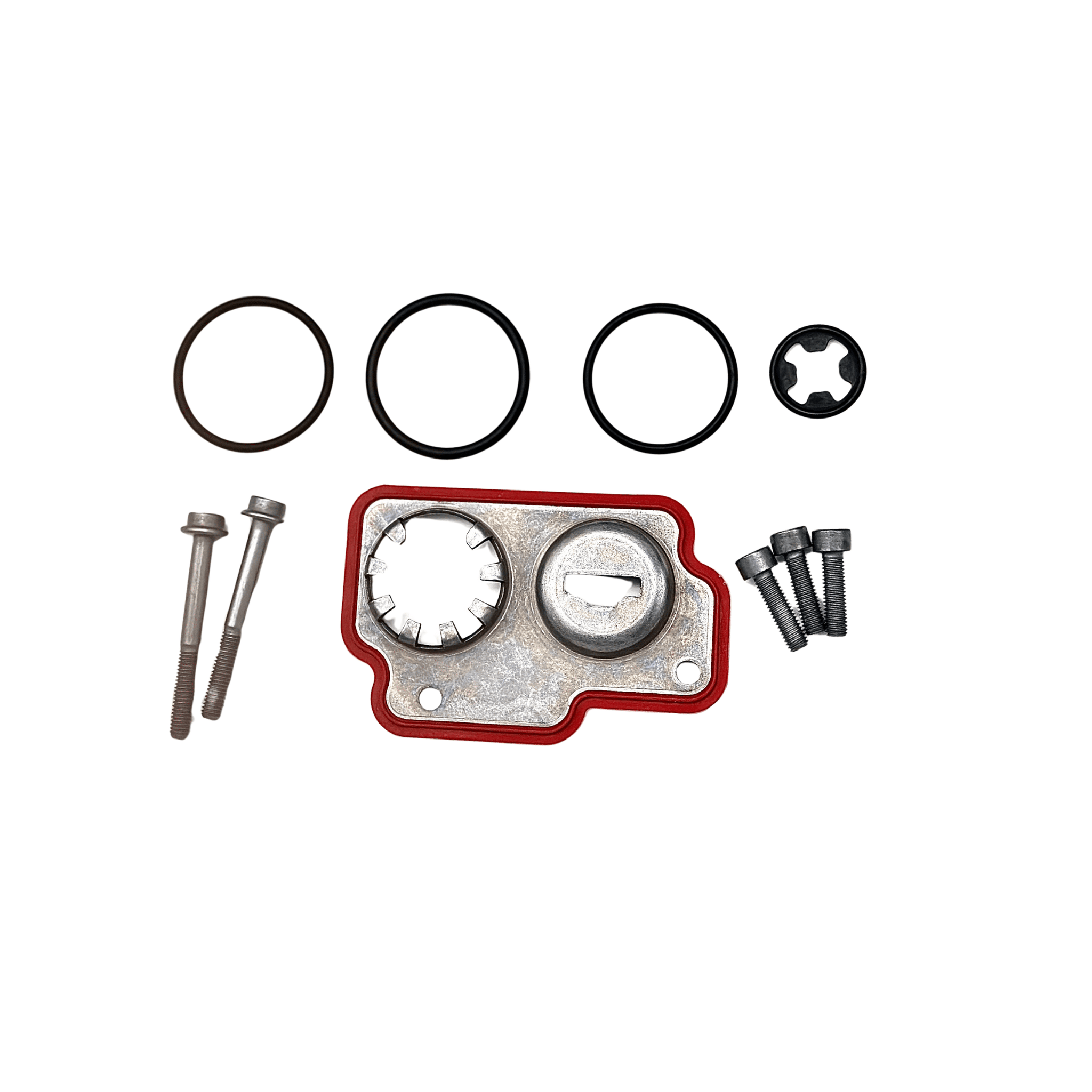 0CQ598305 Seal Repair kit & oil set for Haldex Pump 5th Gen